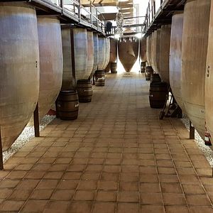 Navarro López Traditional Winery - Wine Tasting in Valdepeñas ...