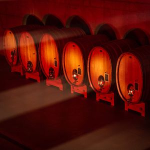 La Piemontina - Wine Tasting & Tour in Alto Piemonte in Piedmont ...