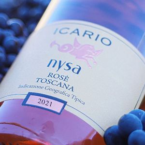 Icario Winery - Gold Wine Tasting and Tour| Winetourism.com