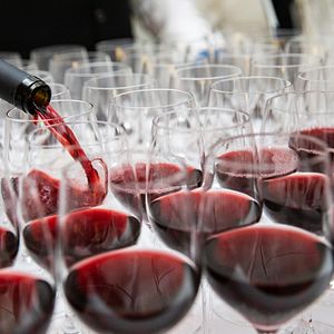 La Piemontina - Wine Tasting & Tour in Alto Piemonte in Piedmont ...