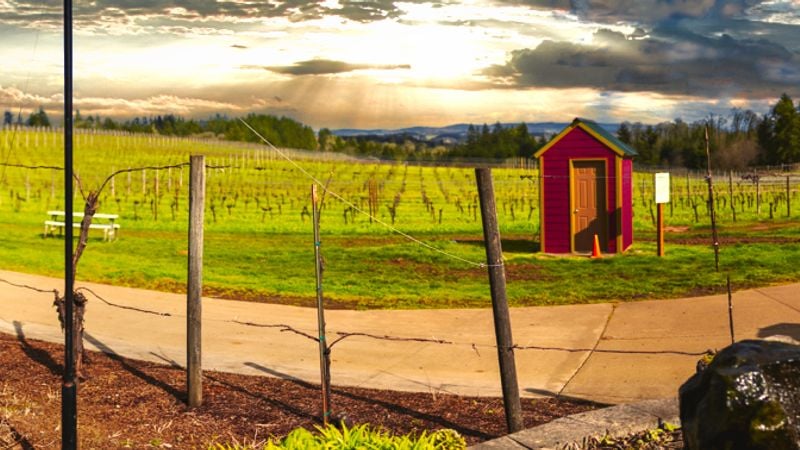 Weintourismus-Erlebnisse weltweit entdecken & buchen | WineTourism ...