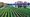 Landry Vineyards - Winery in Louisiana | Winetourism.com
