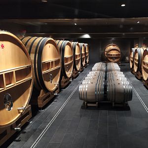 Raphael - Local wine Guide in Champagne | WineTourism.com