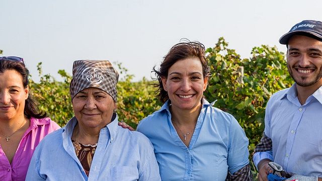 Cantine Erario - Winery in Puglia | Winetourism.com