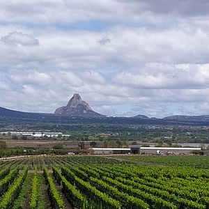 Wine Lover s Tour Queretaro Guided Wine Tour In Quer taro Wine Lover s Tour Queretaro Guided Wine Tour In Quer taro