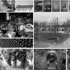 Etyek Wine Tasting Tour - Guided Wine Tour in Etyek-Buda | WineTourism.com