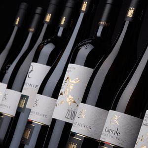 Peter Zemmer - Wine Tasting at Peter Zemmer in Trentino-Alto Adige ...