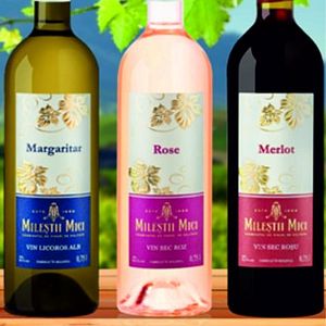 Private Tour from Chisinau to Milesti Mici winery with Tasting - Guided ...