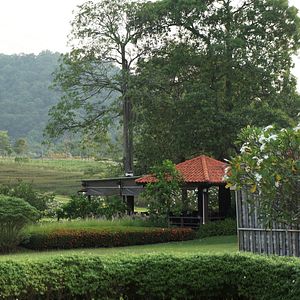 PB Valley Khao Yai Winery - Wine Tasting and Tour at PB Valley Khao Yai ...