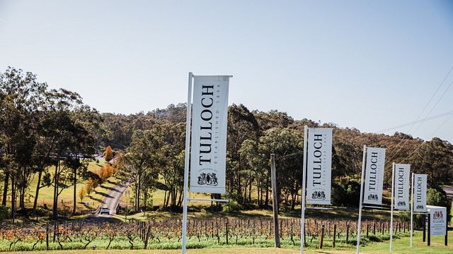 Tulloch Wines - Winery in New South Wales | Winetourism.com
