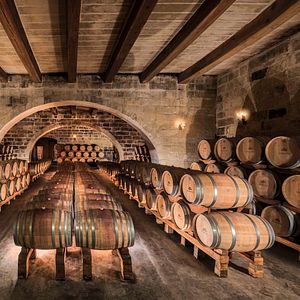 Marsovin - The Culture of Wine - The Marsovin Experience in Malta ...