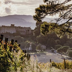Tenute Aliani - Tasting with a visit to the Castle of Ramazzano in ...