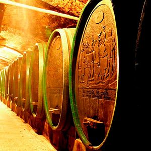 Ptujska klet / Pullus Wines - Basic Tasting and Tour at Pullus Wines in ...