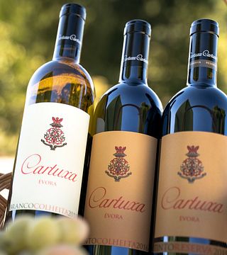 Enoturismo Cartuxa - Adega Cartuxa - propriedade vinícola em Alentejo ...