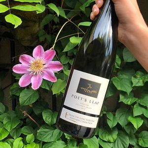 Long Shadows Vintners - Portfolio Tasting at Long Shadows Vintners in ...