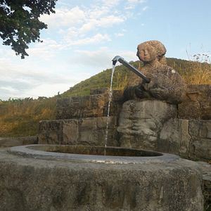 Hüttenheim - Guided Wine Tour in Franken | WineTourism.com