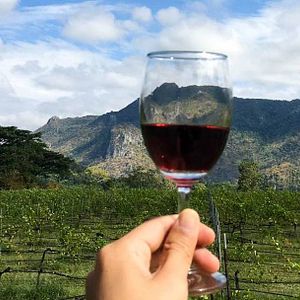 PB Valley Khao Yai Winery - Wine Tasting and Tour at PB Valley Khao Yai ...